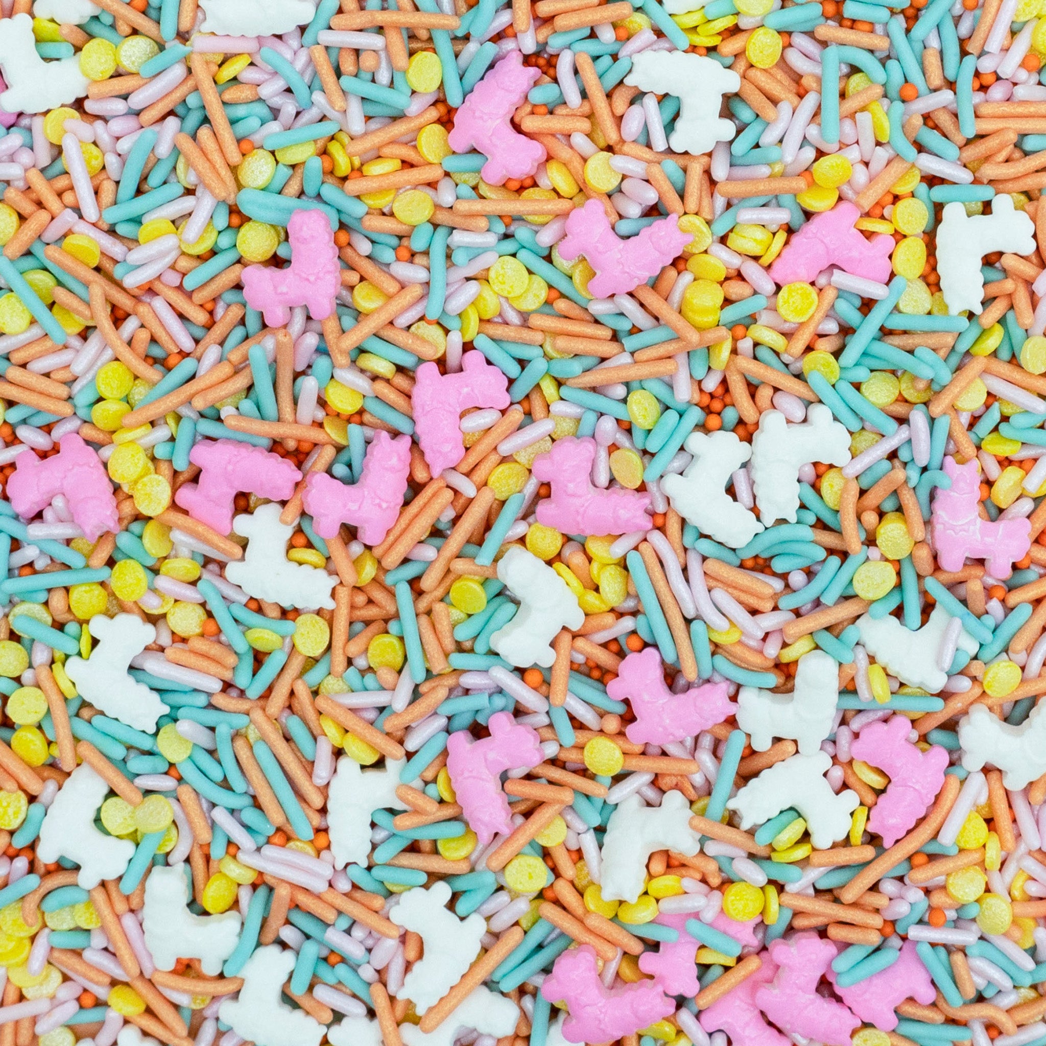 Let's Fiesta Sprinkle Mix – FOLIAY WHOLESALE